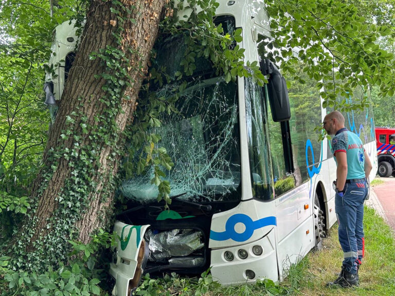 Lijnbus botst frontaal tegen boom in Ermelo [+foto] | Transport Online
